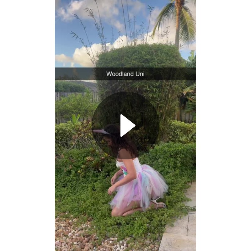 Dev🧞‍♂️ (@umdevon) | A whimsical Halloween costume parade at Woodland ...