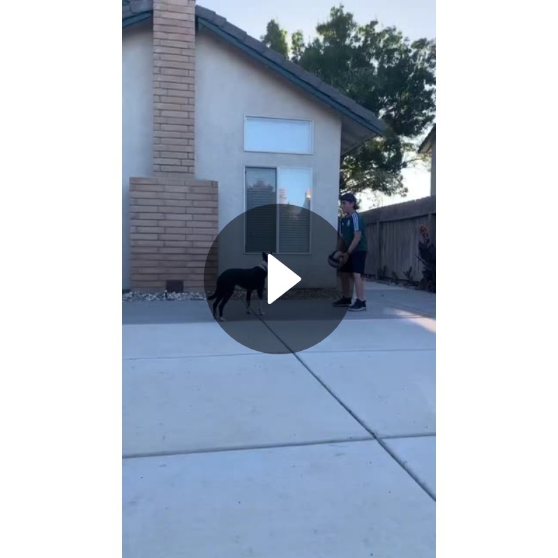 tessferral | Spotlight on Snapchat