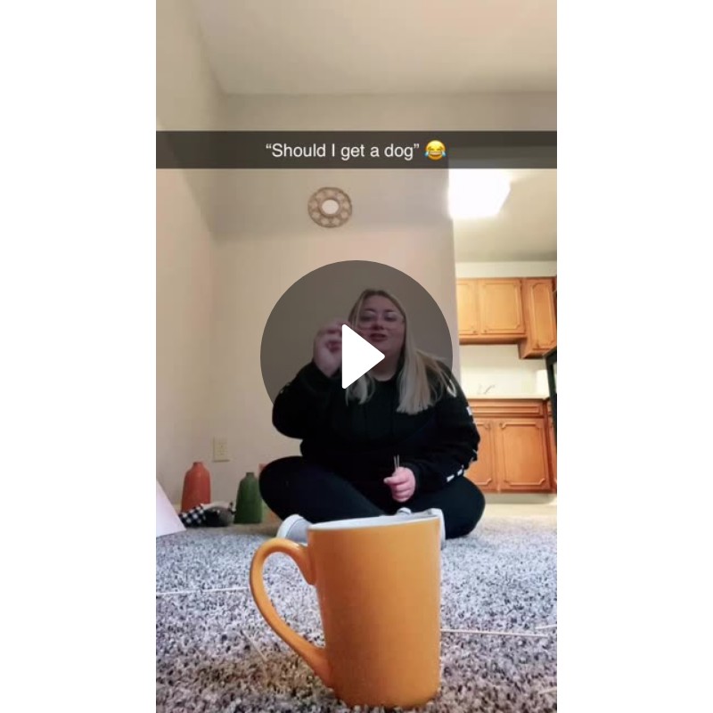 “Should I get a dog” 😂 | Spotlight on Snapchat