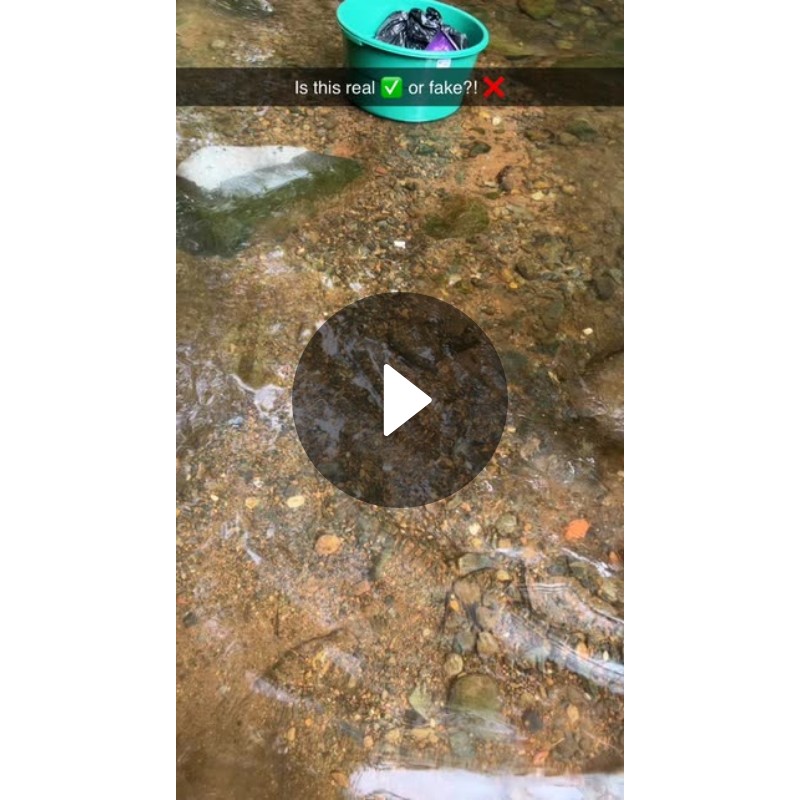 Is this real or fake?! | Spotlight on Snapchat