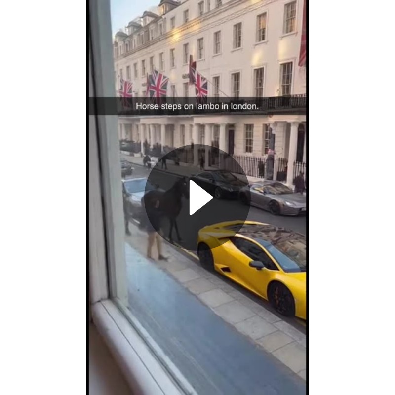 Horse Jumps Onto Yellow Lamborghini in London Street Scene | Video by ...