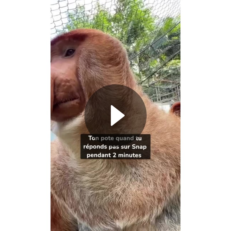 Ton pote quand tu réponds pas sur Snap pendant 2 minutes | Spotlight on ...