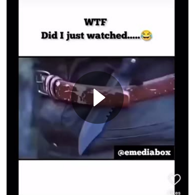 taipan-1 | Spotlight on Snapchat