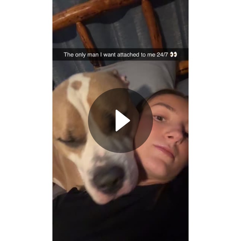 The only man I want attached to me 24/7 👀 | Spotlight on Snapchat