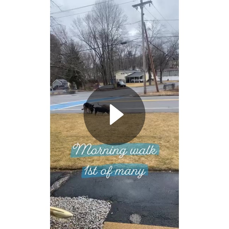 Morning walk | 1st of many | Spotlight on Snapchat