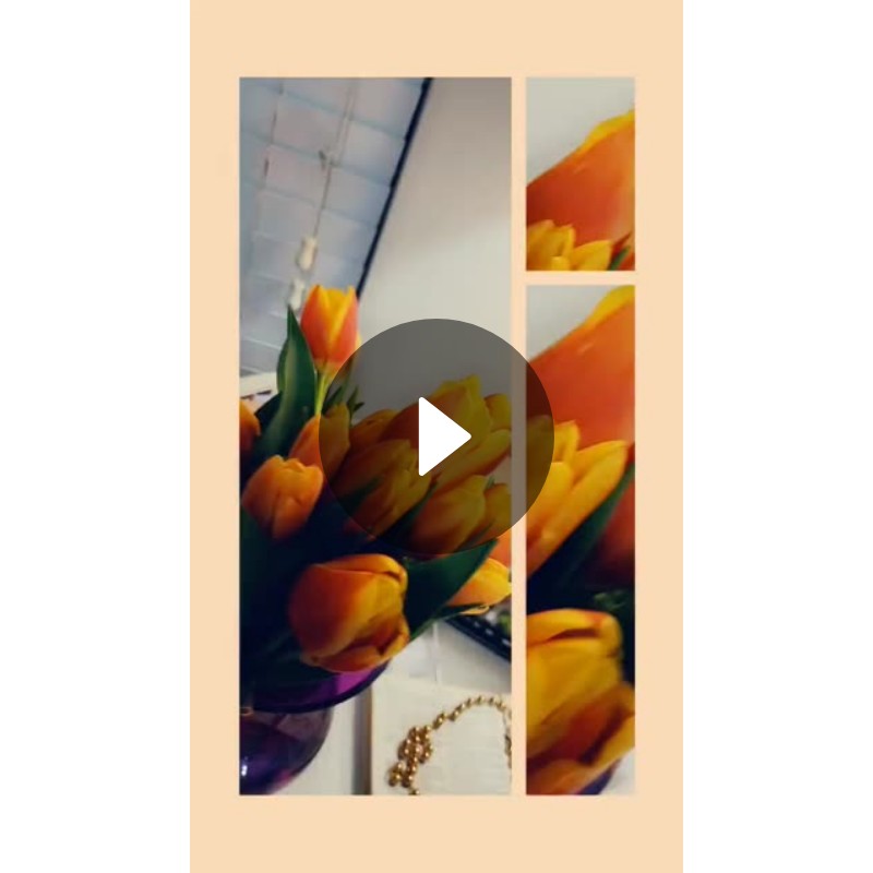 salt_dls | Spotlight on Snapchat