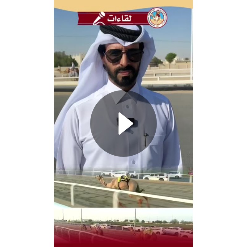 hejen.qa | Spotlight on Snapchat