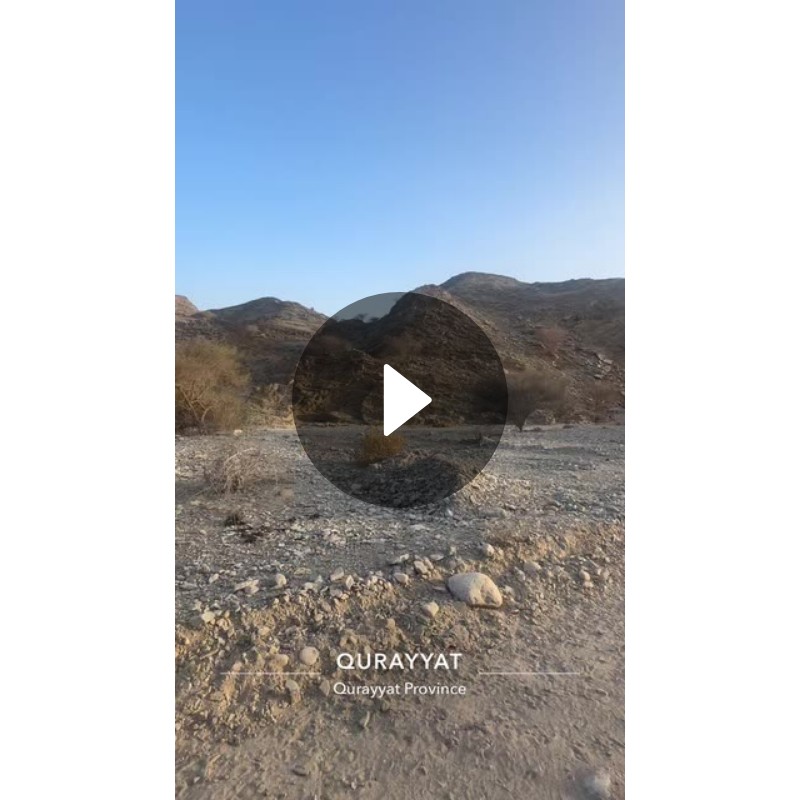 meme.bike | Spotlight on Snapchat