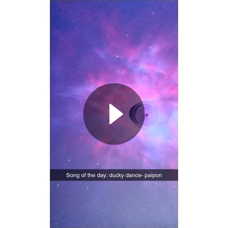 Song of the day: ducky dance- paipon | Spotlight on Snapchat
