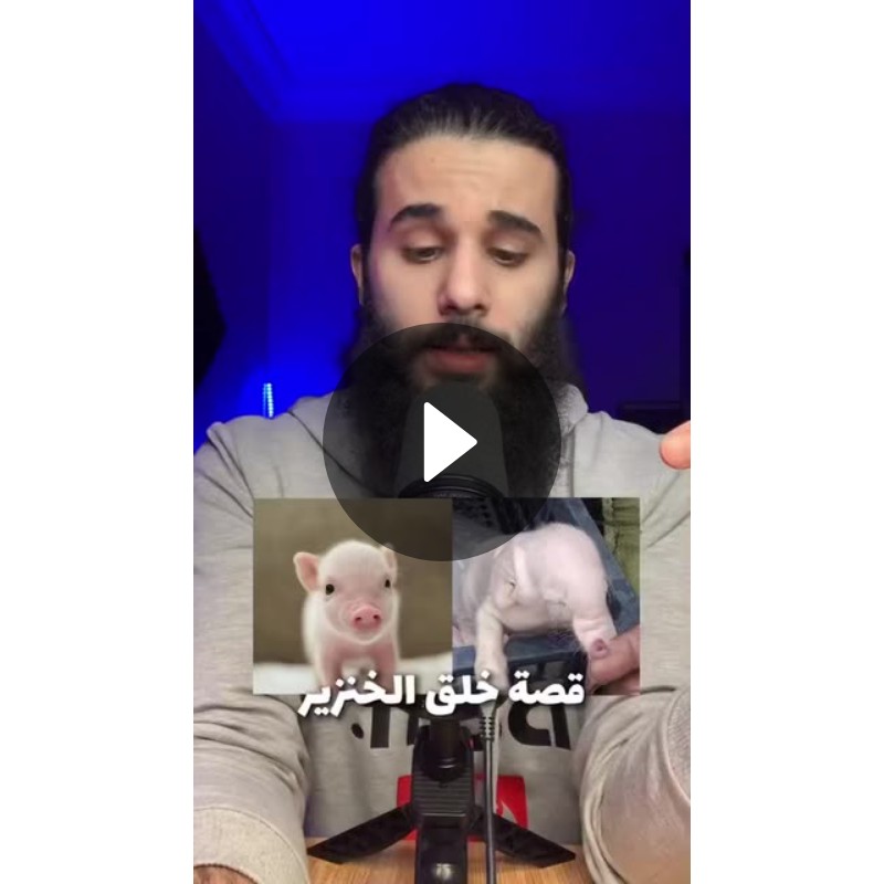 anas_action | Spotlight on Snapchat