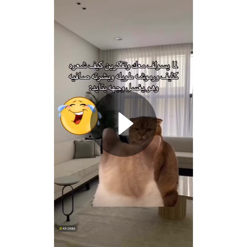 kk.dxb2 | Spotlight on Snapchat