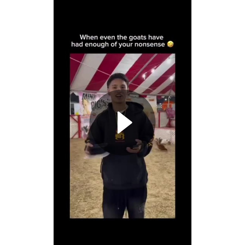 Goats featured in humorous meme content. | Axil123456 (@axil251403 ...
