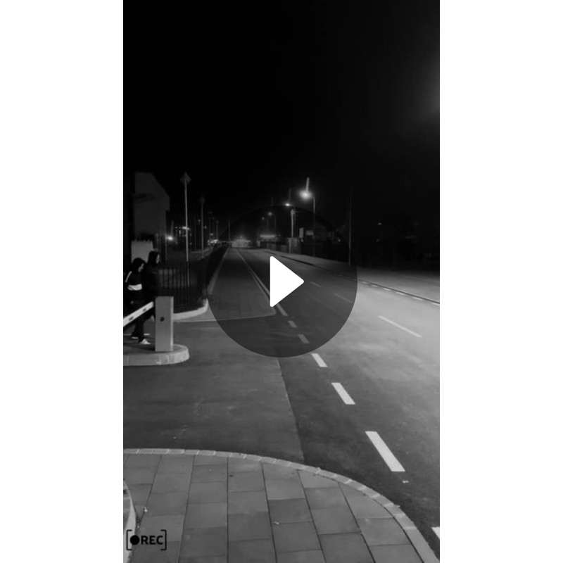 buzz_bear | Spotlight on Snapchat