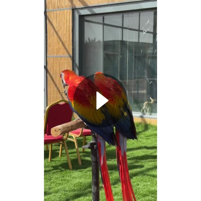 shx_777 | Spotlight on Snapchat