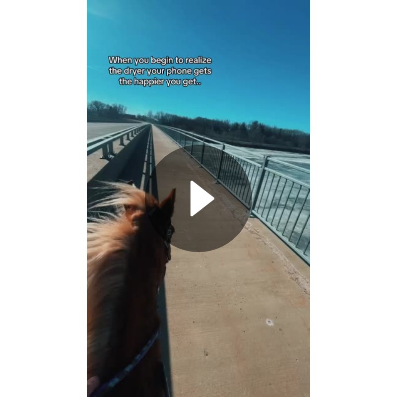 ellee_wheeldon | Spotlight on Snapchat