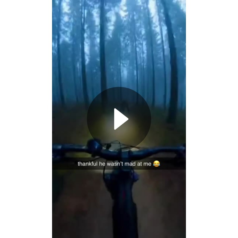 Biker Encounters Bear in Foggy Forest - First-Person POV | Video by ...