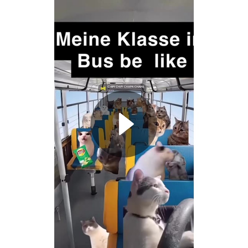 Meine Klasse im Bus be like | Spotlight on Snapchat