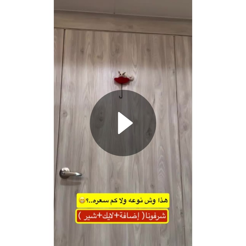 Adorable Pet Mouse Plays with Hand and Red Umbrella Hook | Video by بن ...