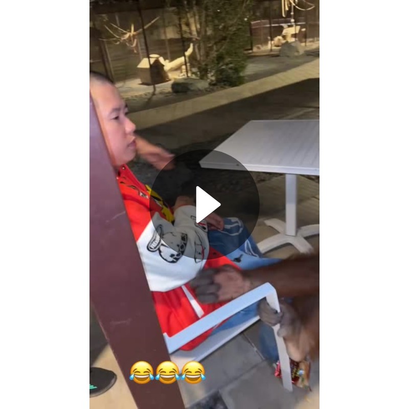 😂😂😂 | Spotlight on Snapchat