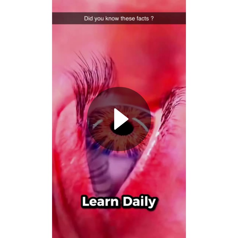 Did you know these facts ? | Spotlight on Snapchat