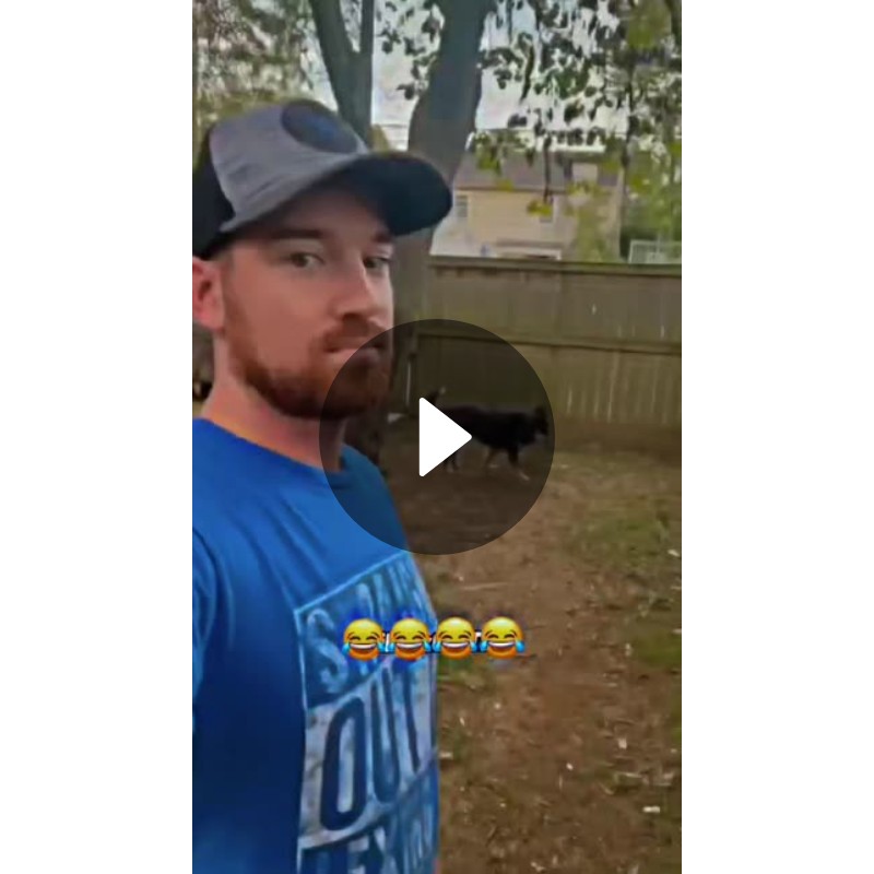 funny.pet01 | Spotlight on Snapchat