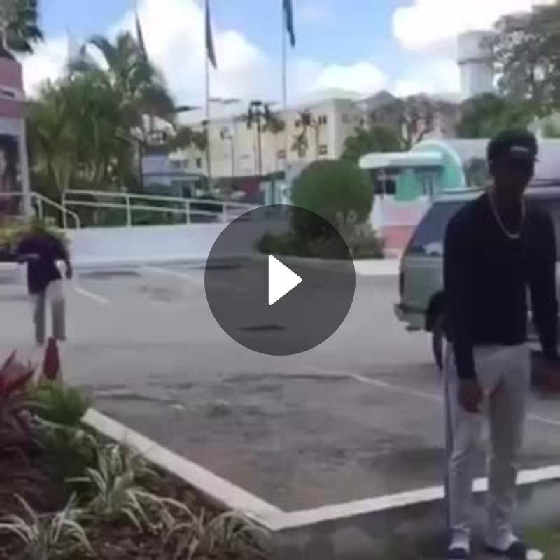 taipan-1 | Spotlight on Snapchat