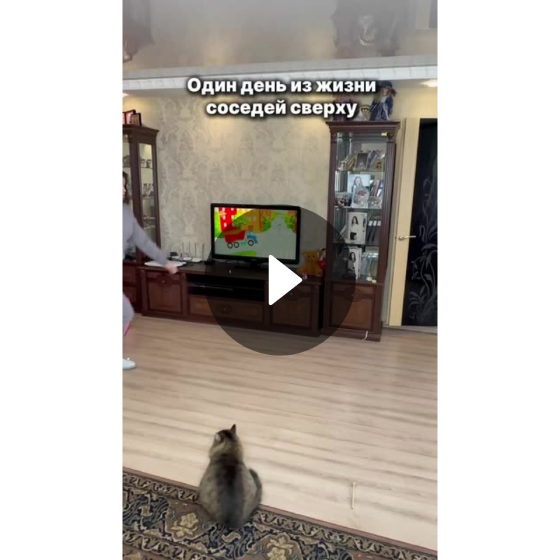 nastyashisha | Spotlight on Snapchat