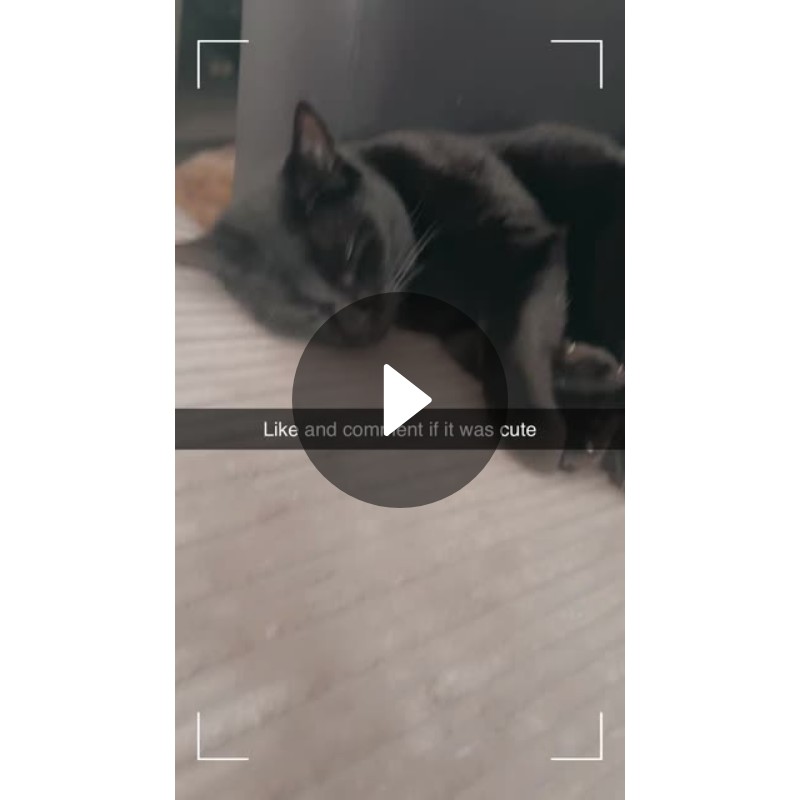 Like and comment if it was cute | Spotlight on Snapchat