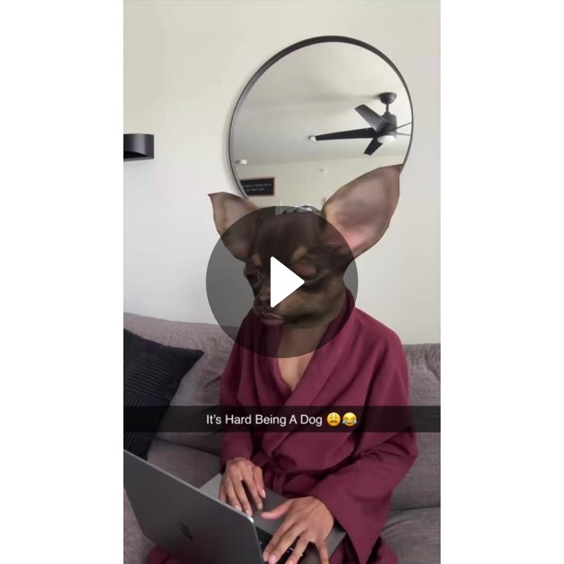 It’s Hard Being A Dog 😩😂 | Spotlight on Snapchat