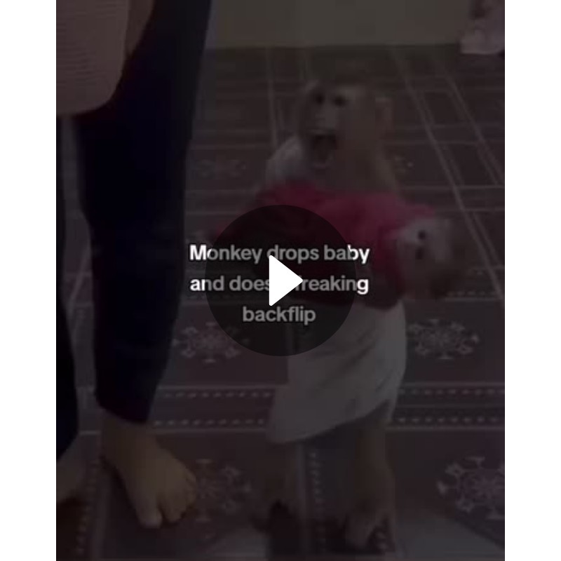 esra.spongebob | Spotlight on Snapchat