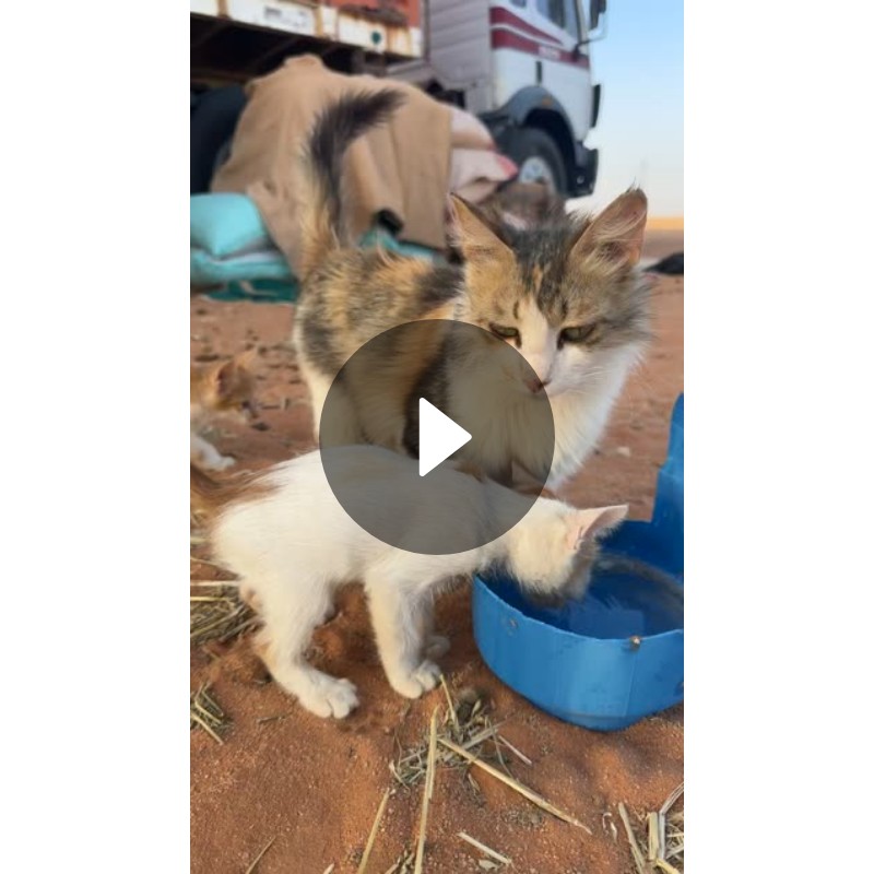 abo.esh | Spotlight on Snapchat