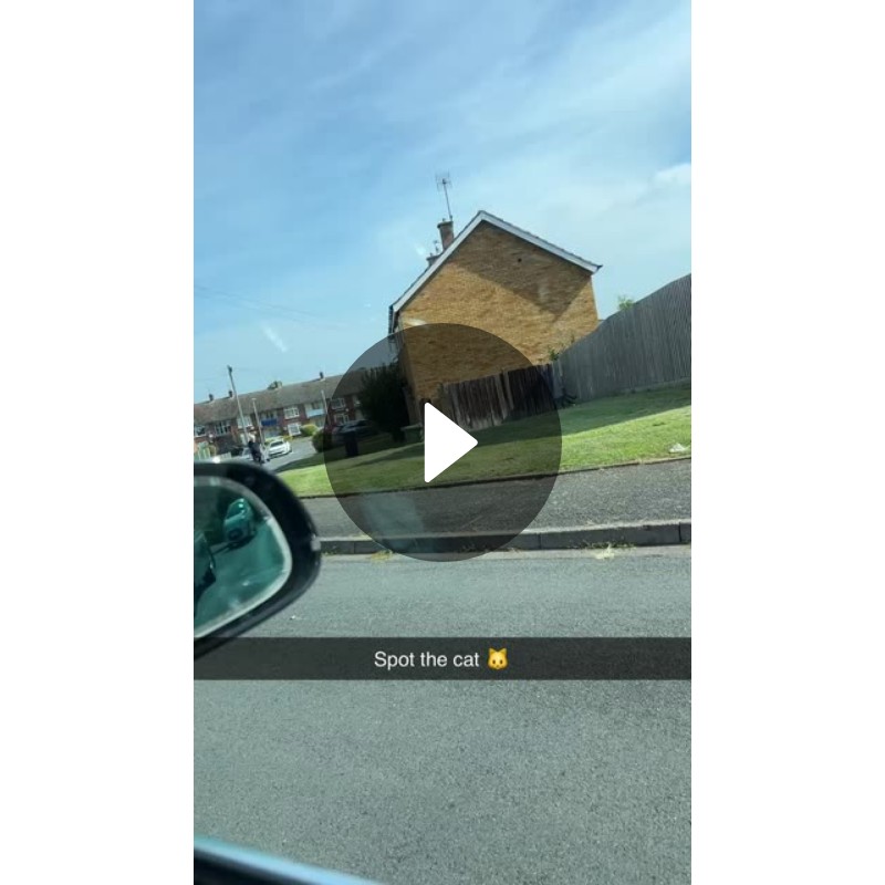 Spot the cat 🐱 | Spotlight on Snapchat