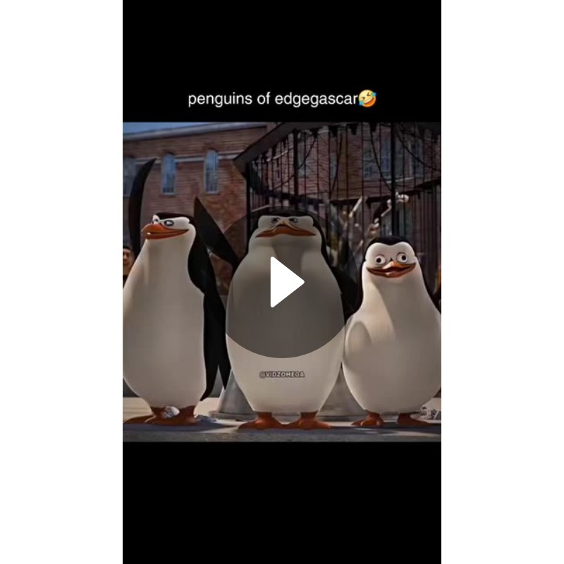 penguins of edgegascar🤣 | Spotlight on Snapchat