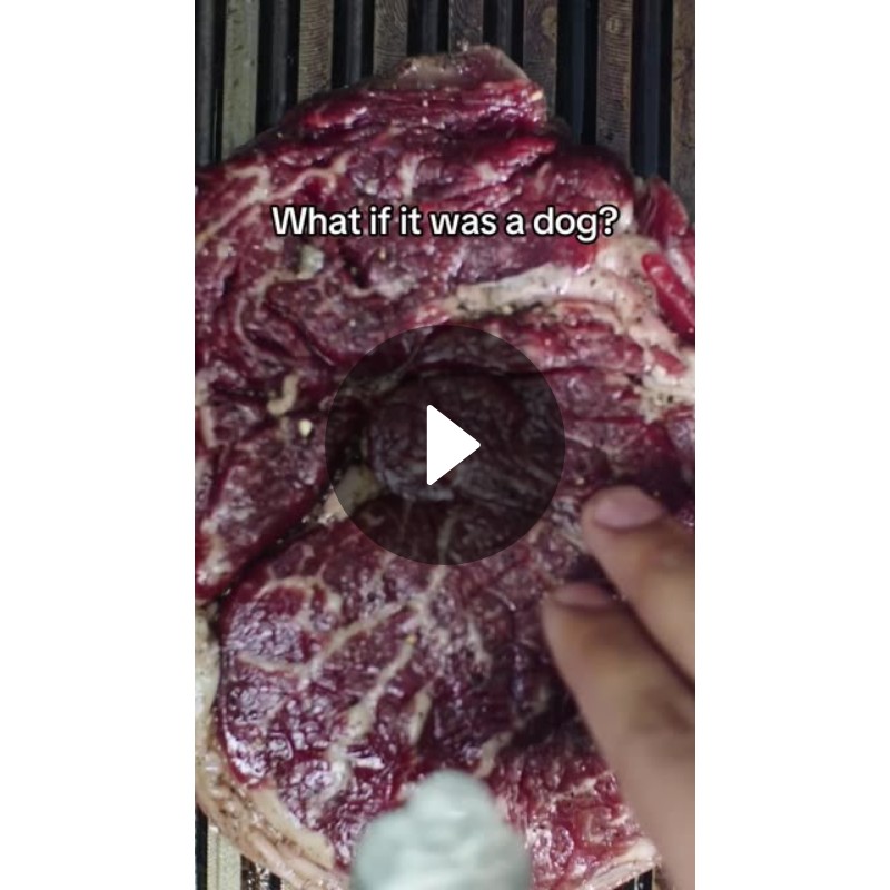 meat_immoral | Spotlight on Snapchat