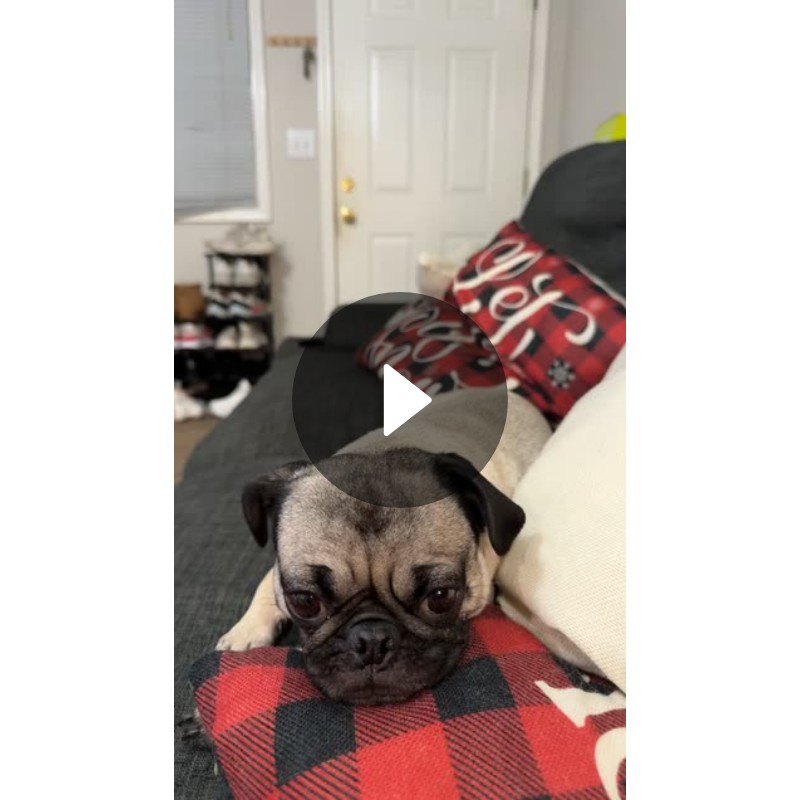 siscoc | Spotlight on Snapchat