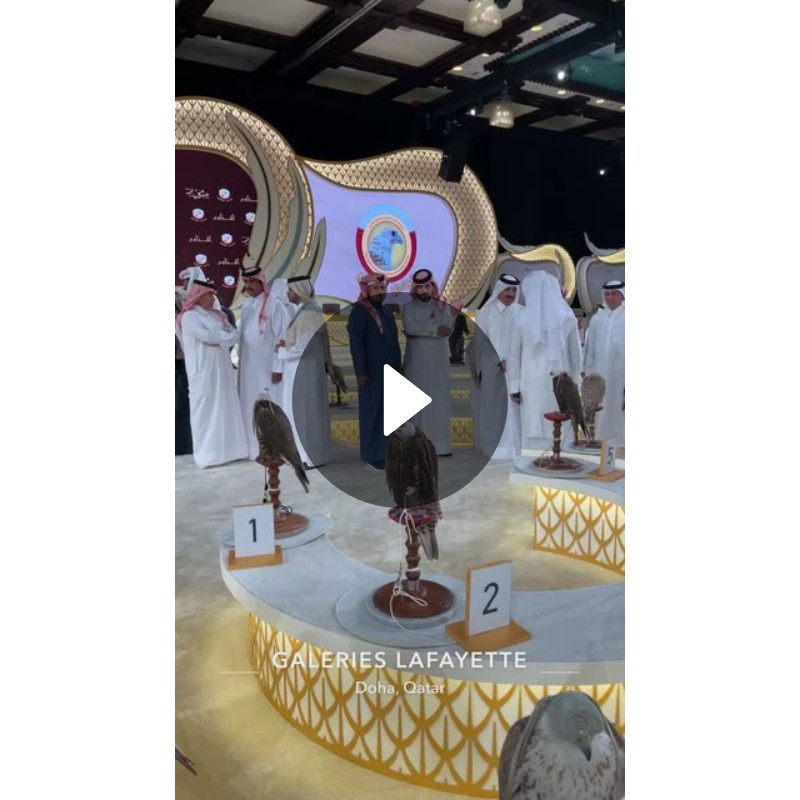 ama | Spotlight on Snapchat