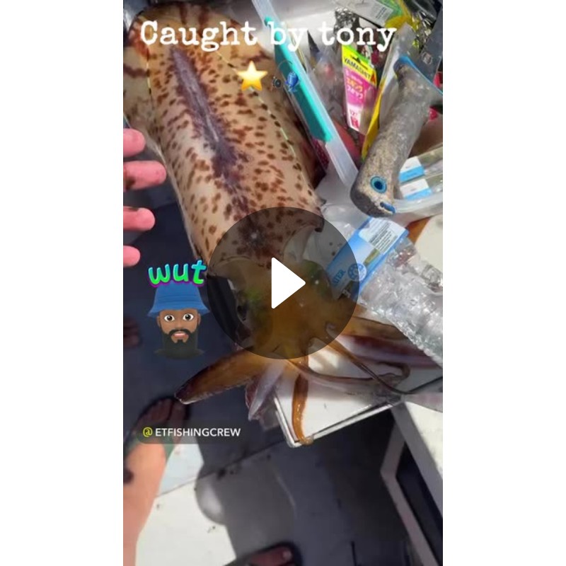 Caught by tony ⭐️🎣 | Spotlight on Snapchat