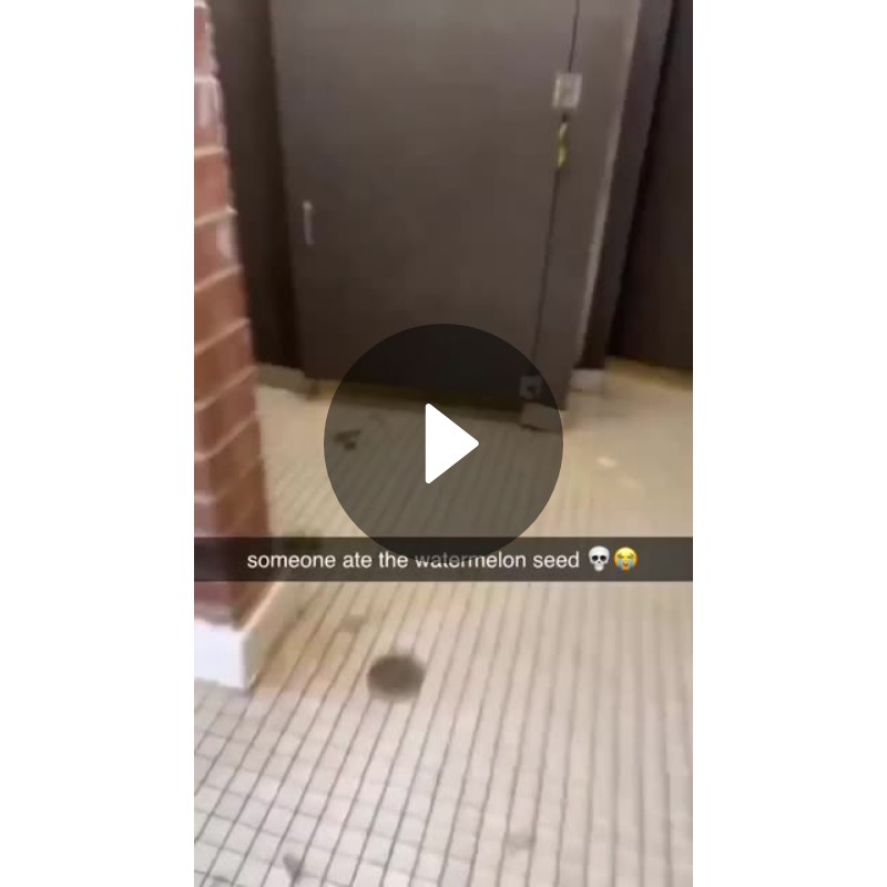 #memes | #meme | #spotlight | Spotlight on Snapchat