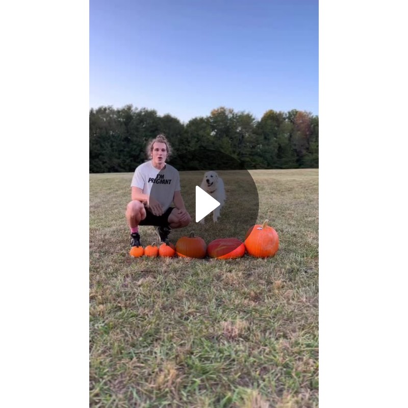 bob_reese | Spotlight on Snapchat