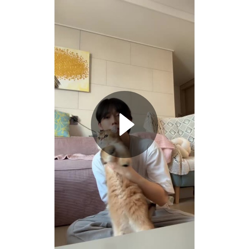 chomad.official | Spotlight on Snapchat