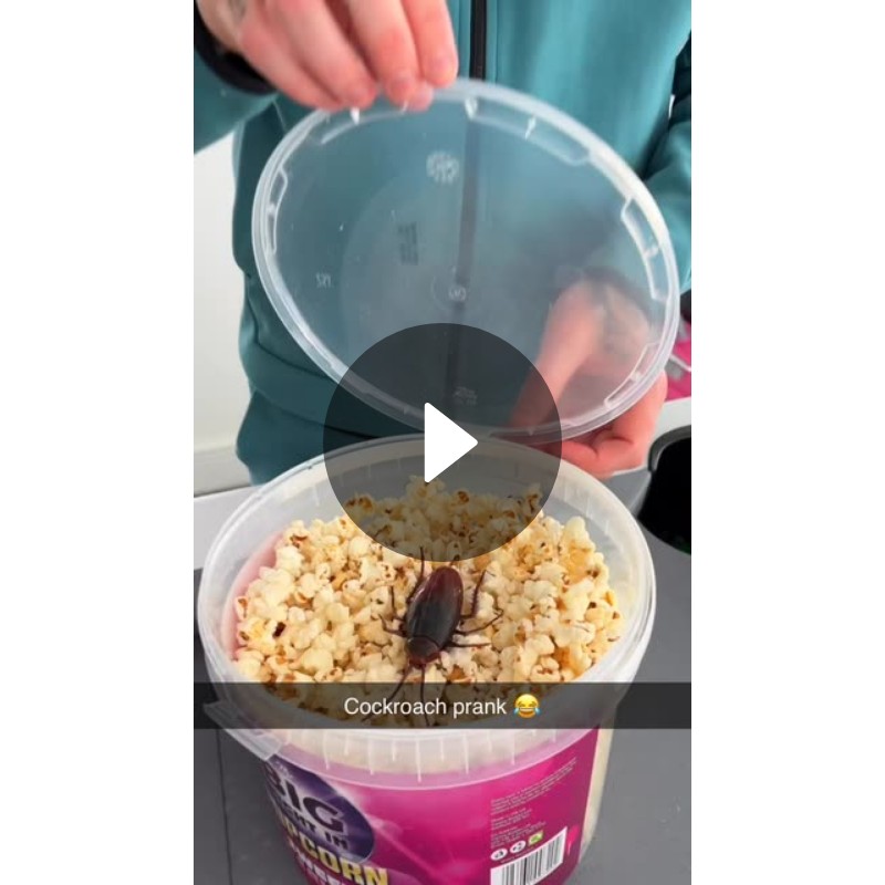 Cockroach prank 😂 | Spotlight on Snapchat