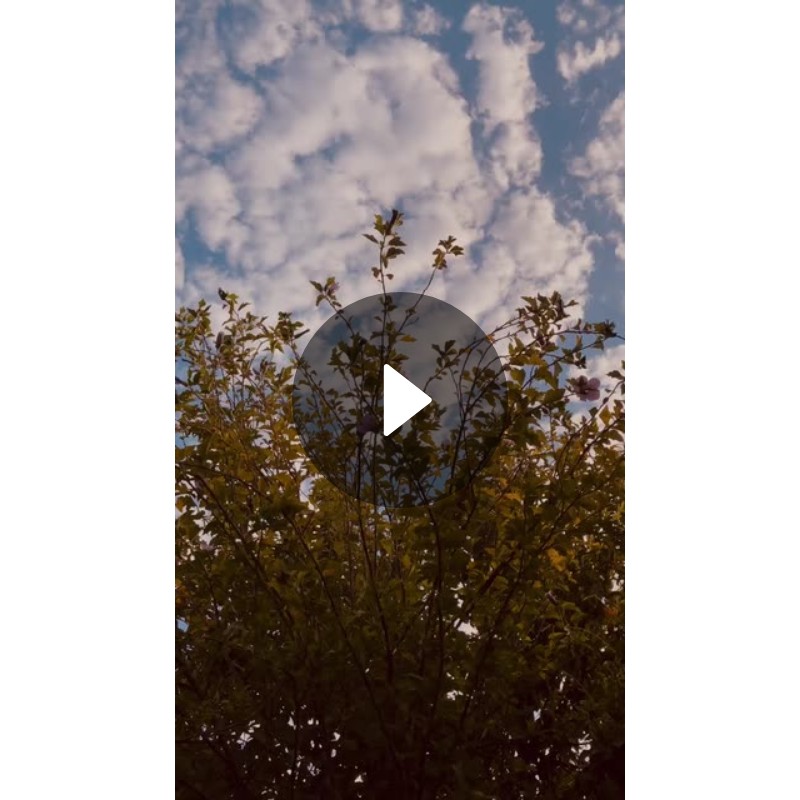 mabast_m7amad | Spotlight on Snapchat