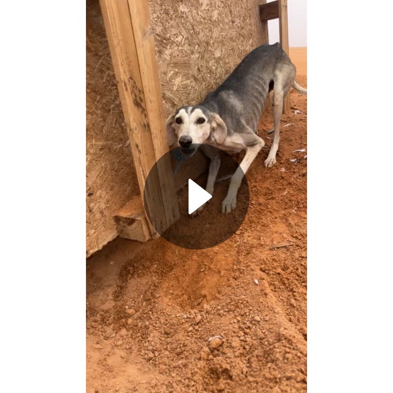 abo.esh | Spotlight on Snapchat