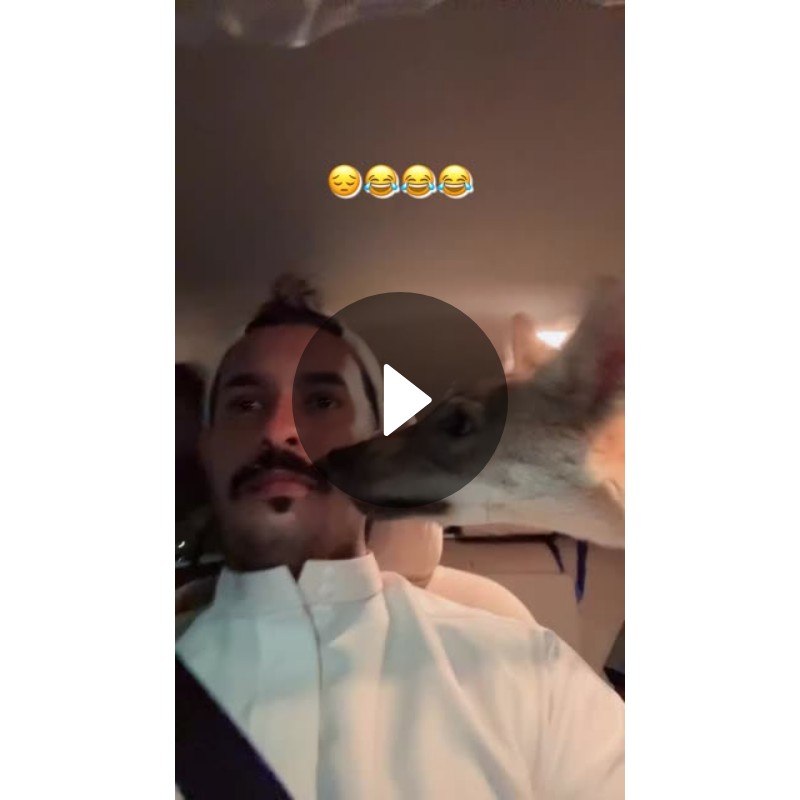 😔😂😂😂 | Spotlight on Snapchat