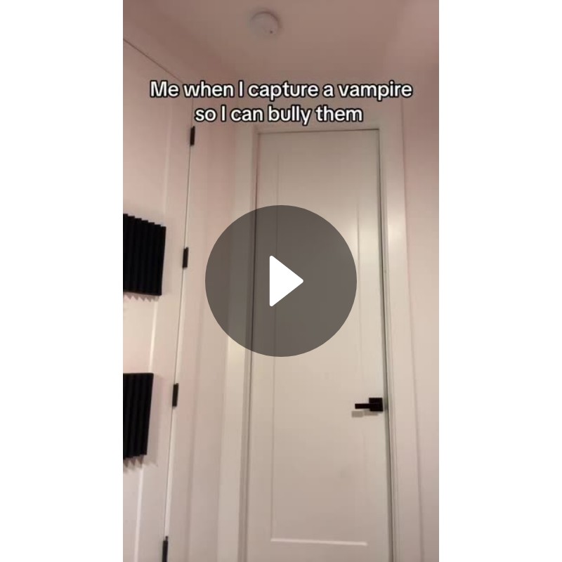 Humorous take on capturing a vampire. | Tony Statovci (@tonystatovcii ...