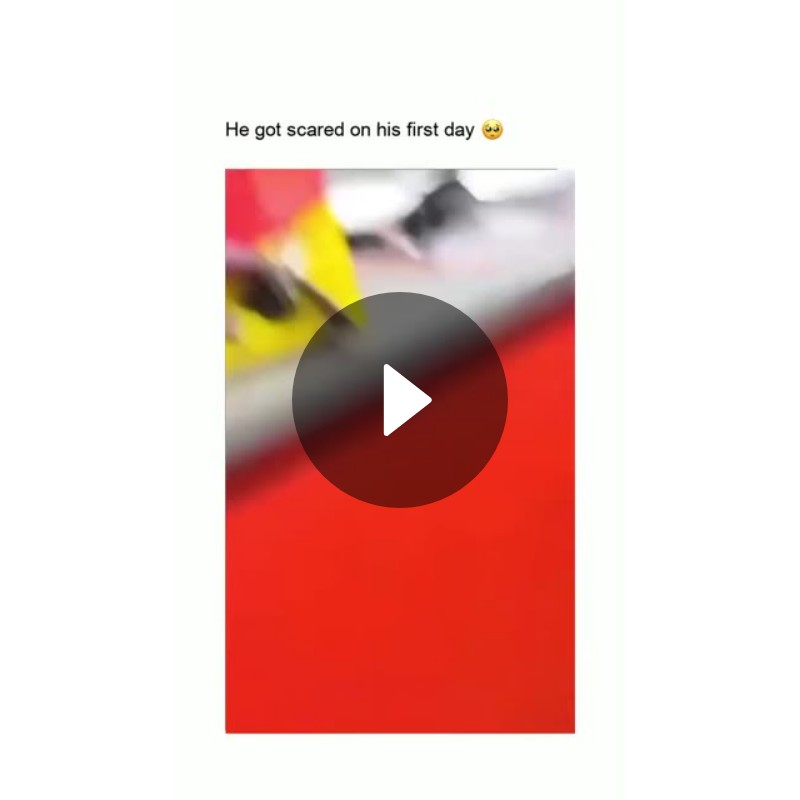 funny_memes4049 | Spotlight on Snapchat