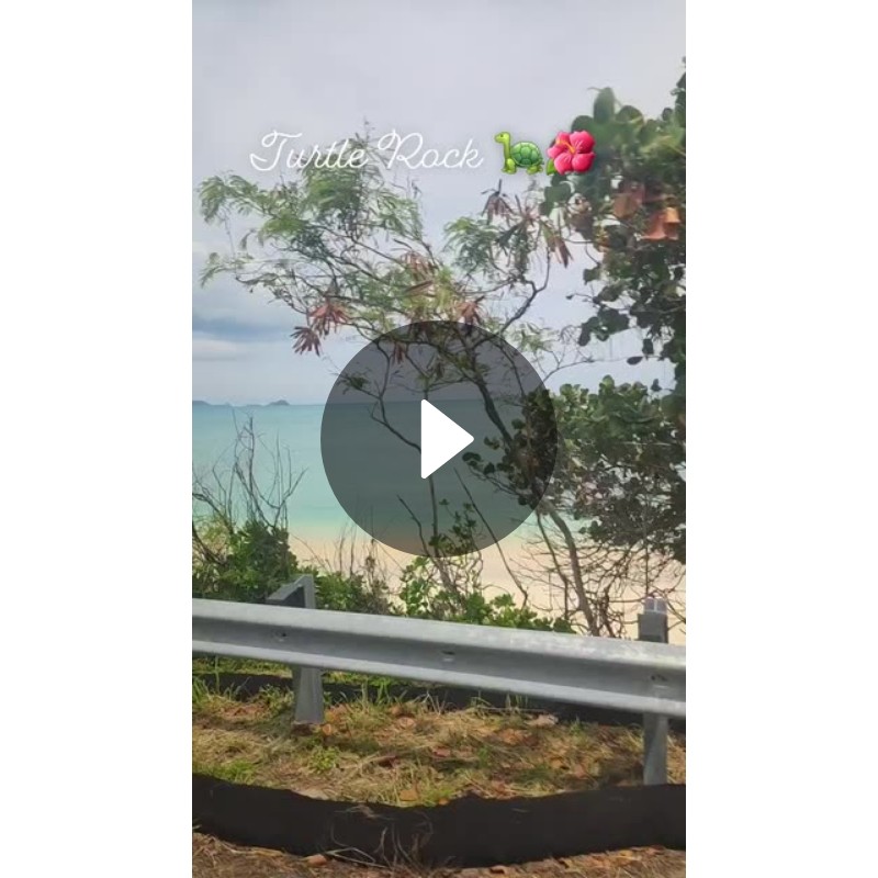 Turtle Rock 🐢🌺 | Spotlight on Snapchat
