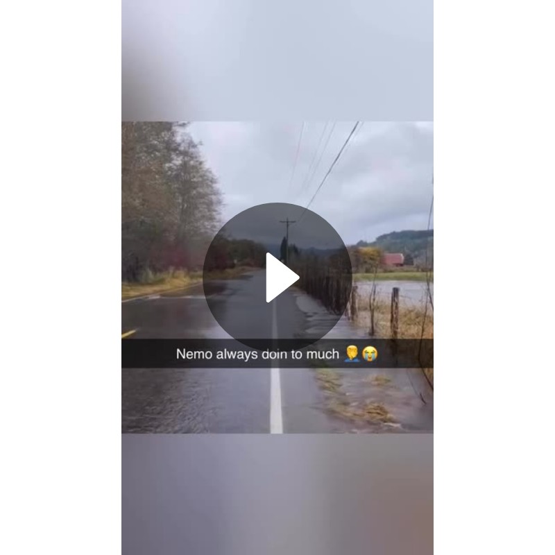 Nemo always doin to much 🤦‍♂️😭 | Spotlight on Snapchat