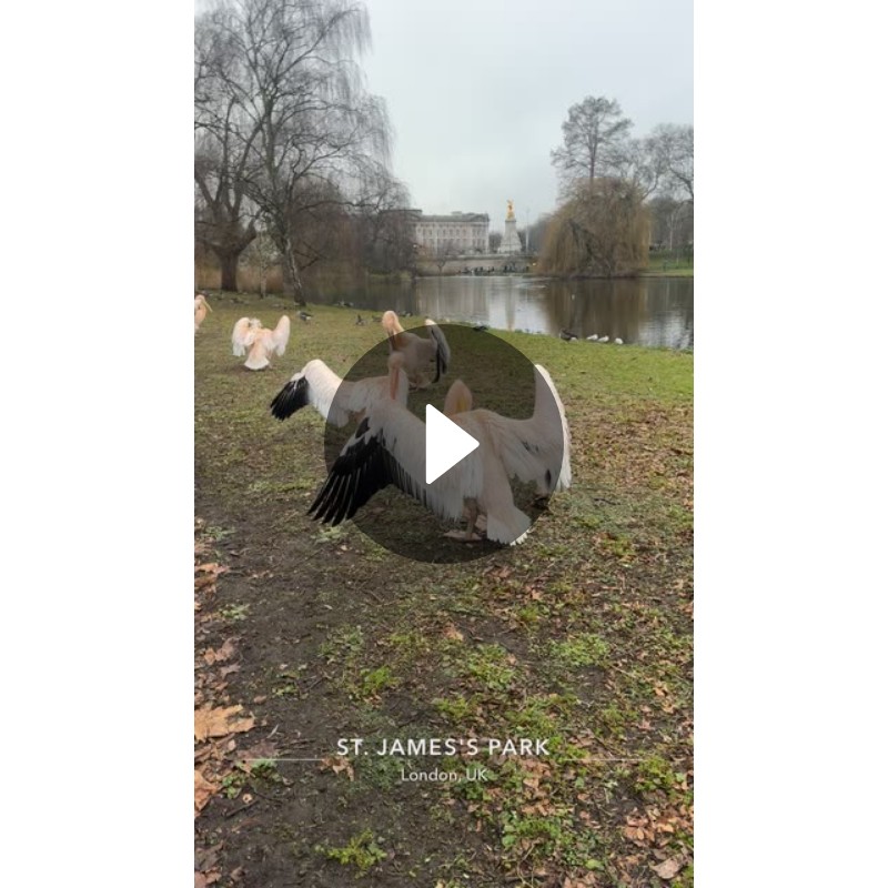 tavgar.official | Spotlight on Snapchat