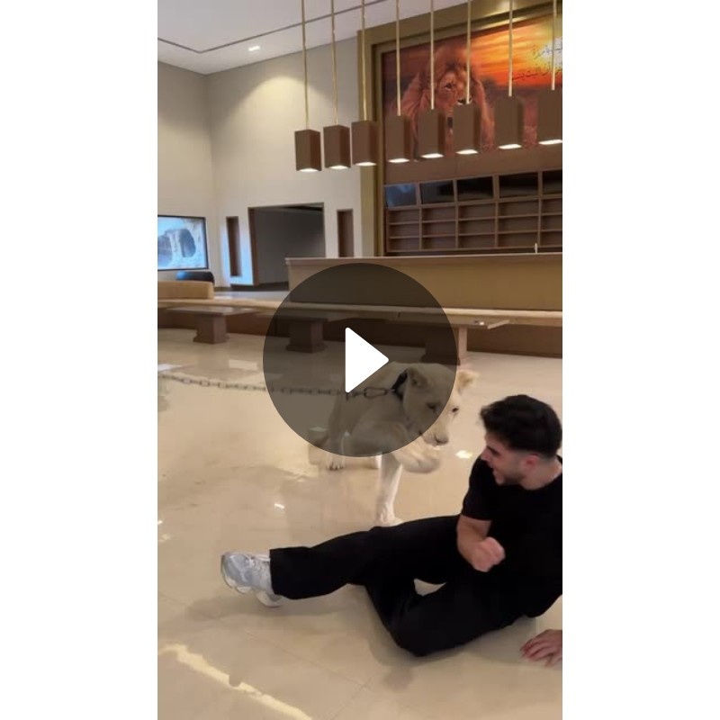 anas_alshayb | Spotlight on Snapchat